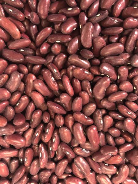 Haricots rouges kidney biologiques Pot consigné 500 ml 380g | La Récolte